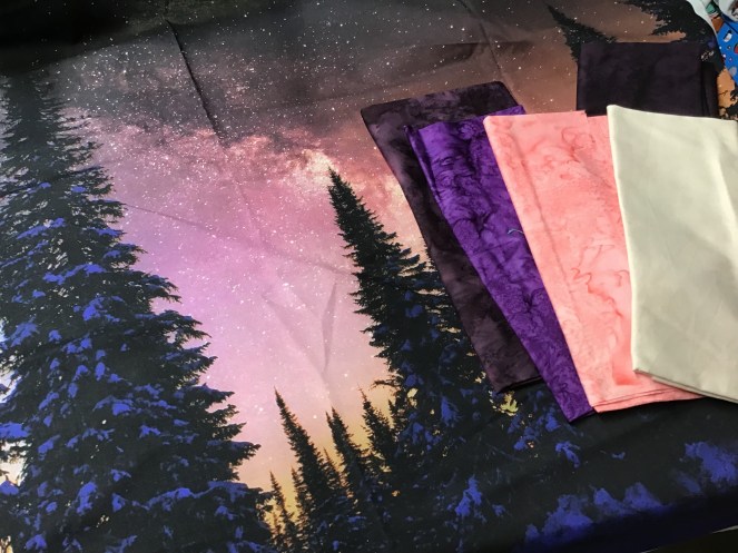 VRD October Sky Panel Quilt Tutorial – Villa Rosa Quilts