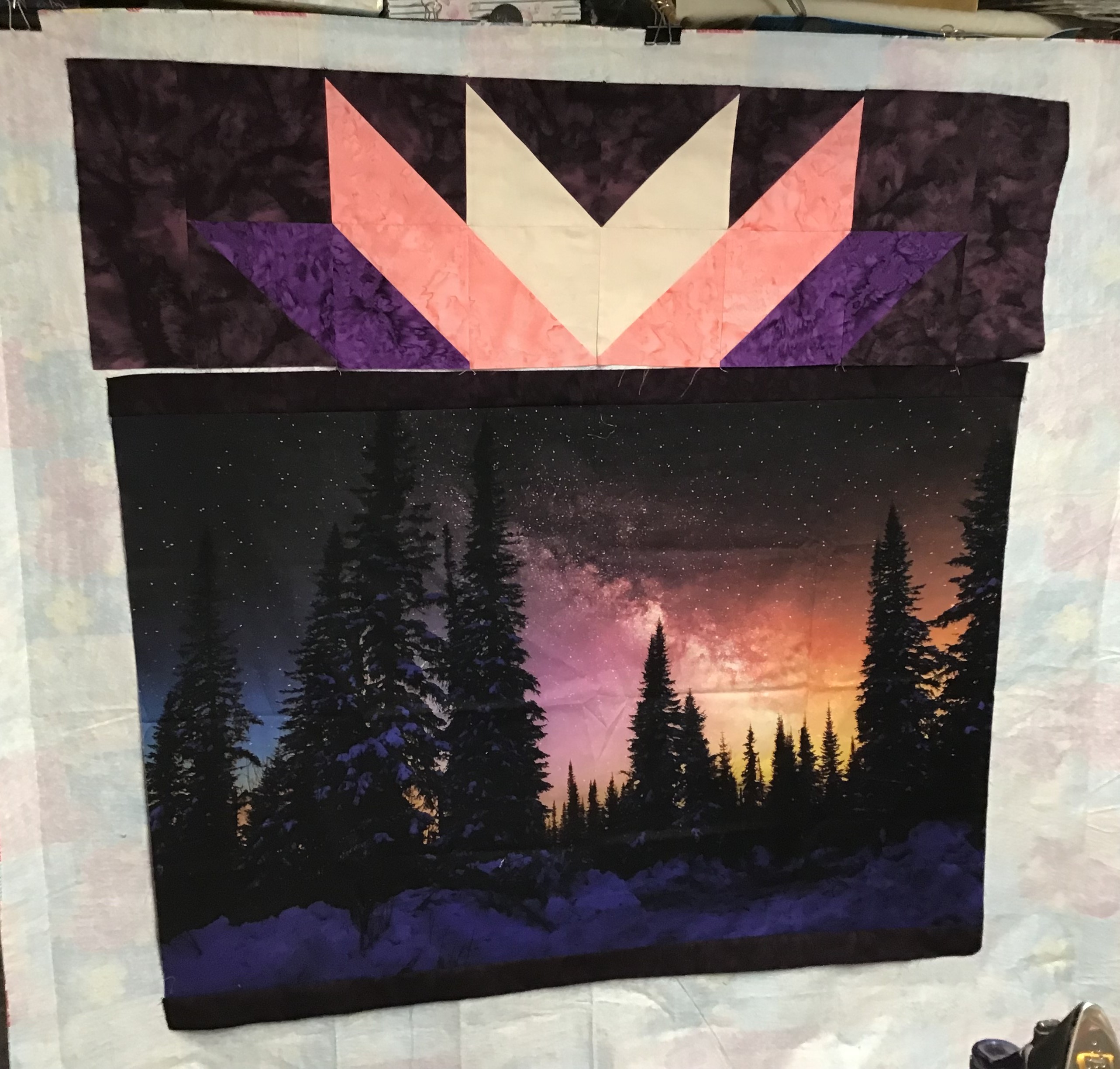 Panel Quilts – Villa Rosa Quilts